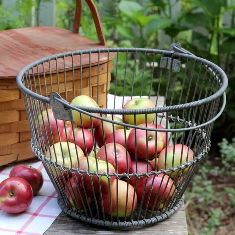 Old Clamming Basket - Nora Murphy Country House
