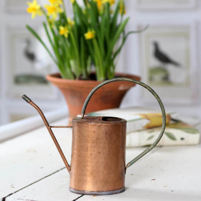 Petite Copper Watering Can - Nora Murphy Country House