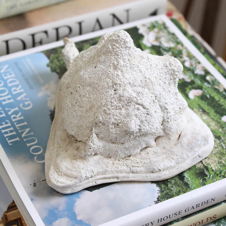 Old Barnacled Tiger Conch Shell - Nora Murphy Country House