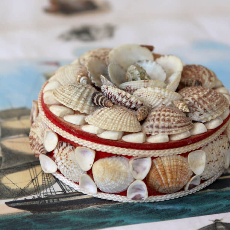 Rose Shell Box - Nora Murphy Country House