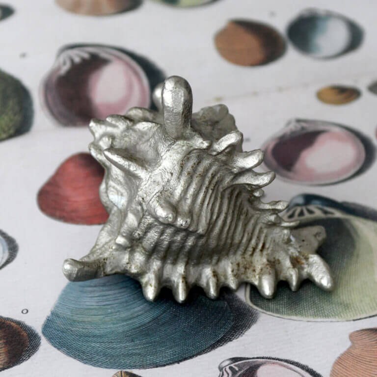 Iron Spiky Shell - Nora Murphy Country House