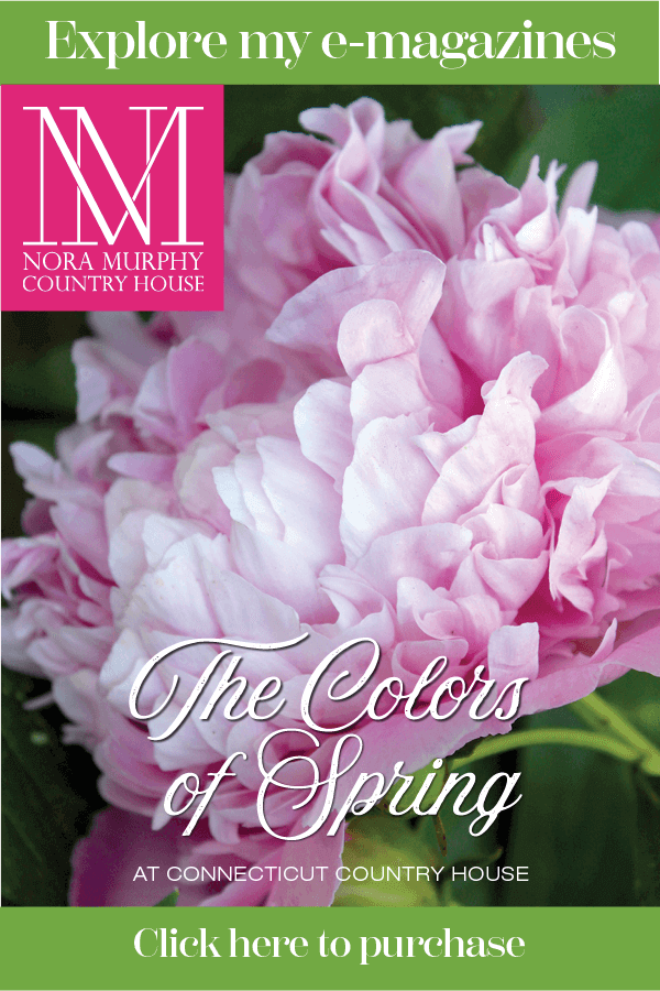 Onward! - Nora Murphy Country House