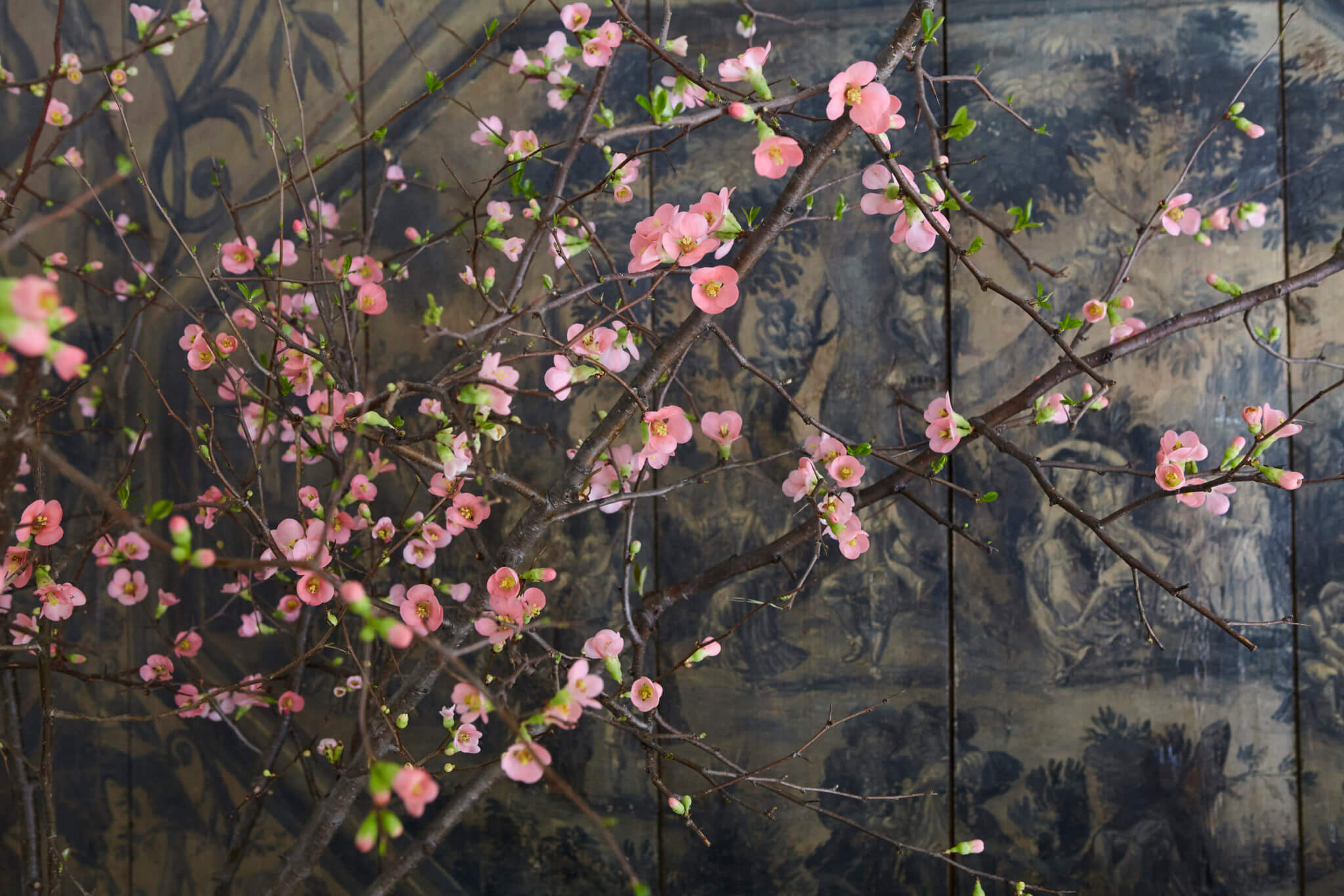 Nora Murphy Country House - NMCH Home