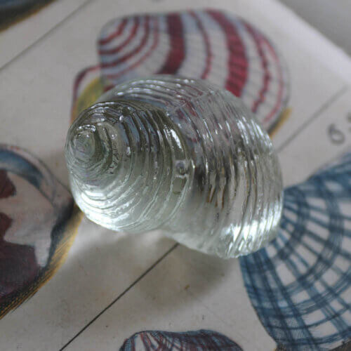 Solid Glass Shell Paperweight - Nora Murphy Country House