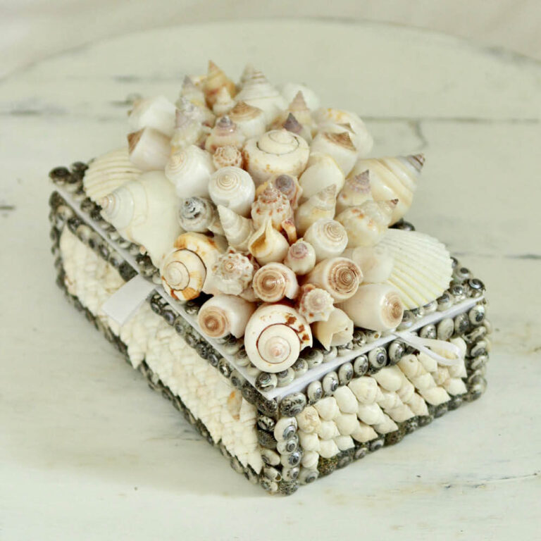 Mystic Seashell Keepsake Box - Nora Murphy Country House