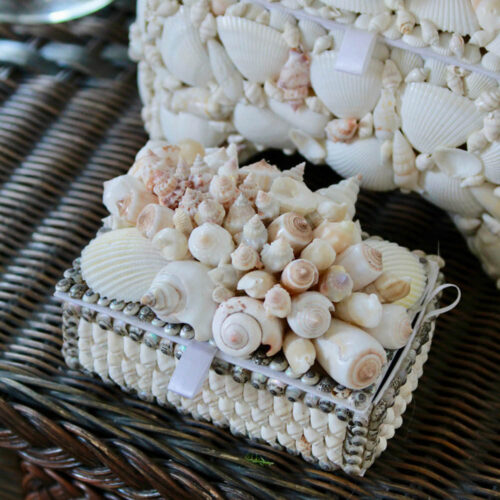 Mount Pleasant Seashell Keepsake Box - Nora Murphy Country House