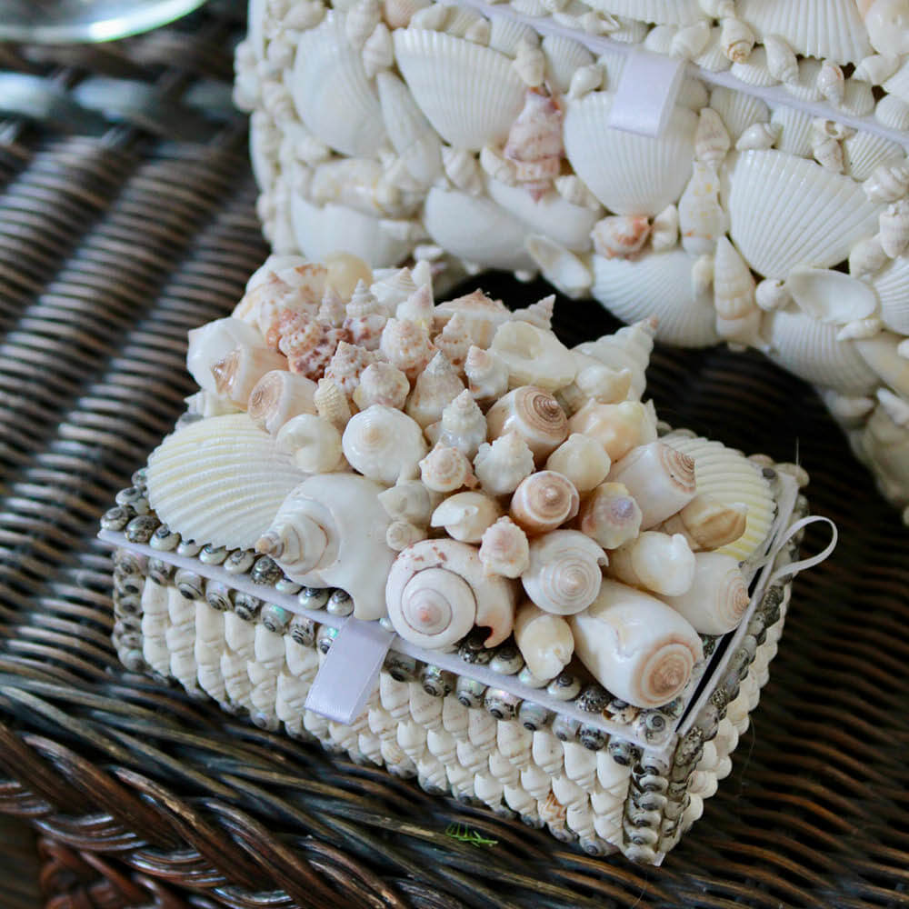 Mount Pleasant Seashell Keepsake Box - Nora Murphy Country House