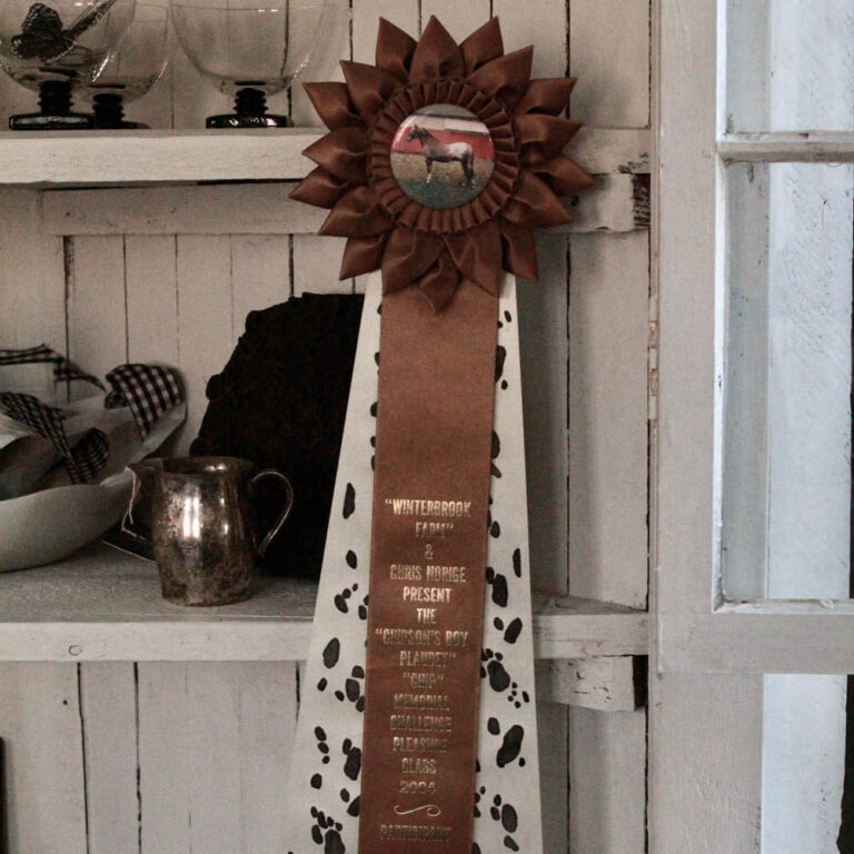 Vintage Horse Show Ribbon 2004 - Nora Murphy Country House