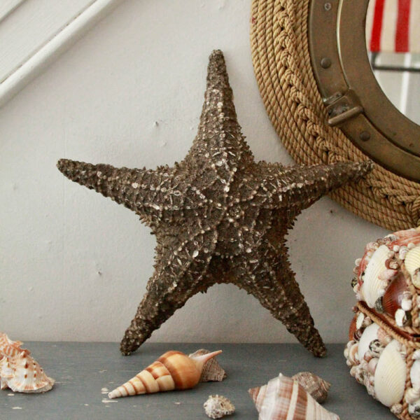 Large Natural Sea Star - Nora Murphy Country House
